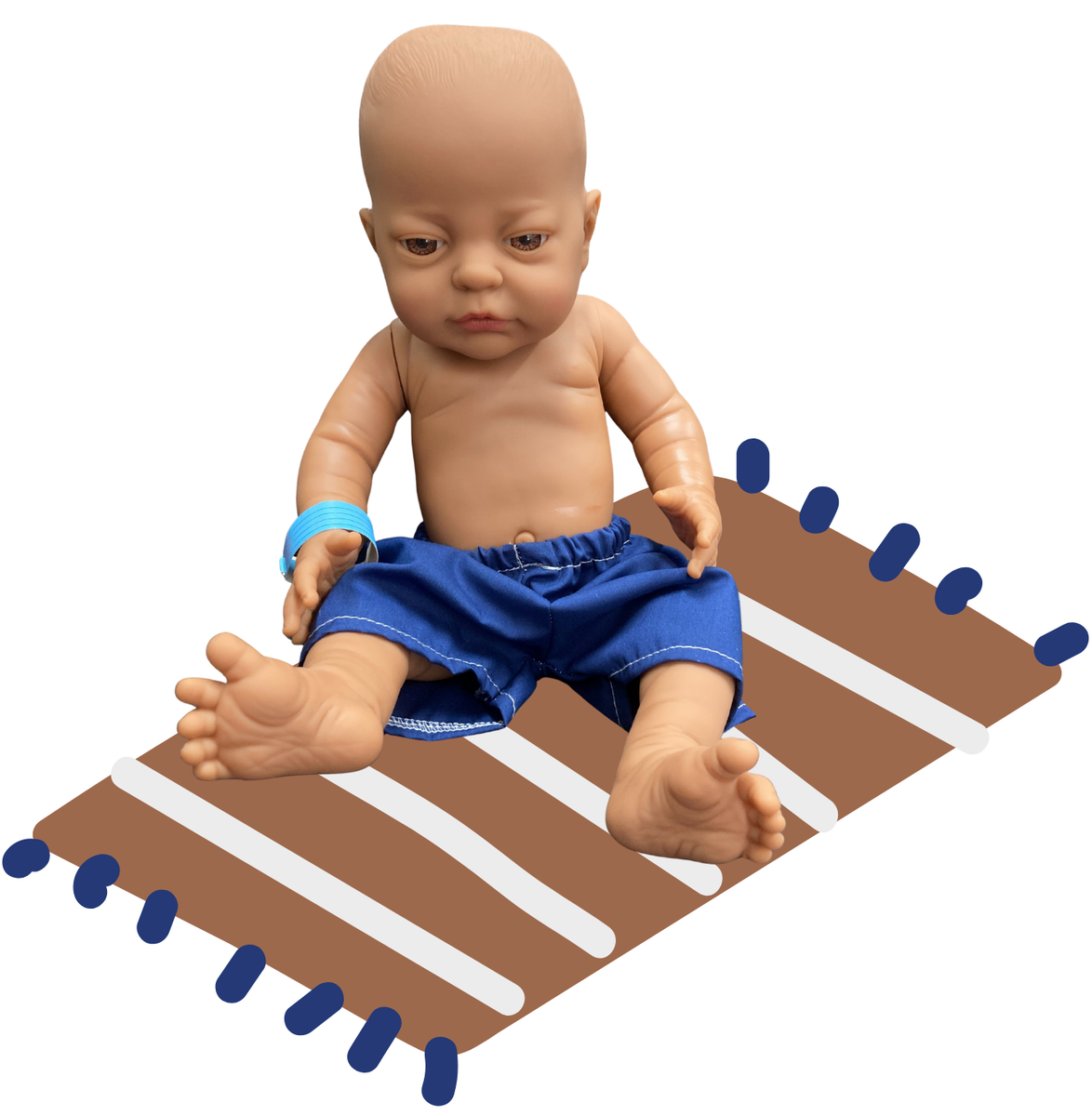 Multicultural Anatomically Correct Dolls - Male – WA Child Safety Services